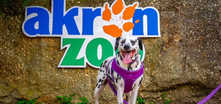 Akron Zoo | Ticketing