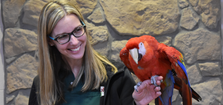 Akron Zoo | Ticketing
