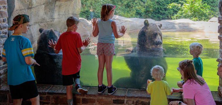 Akron Zoo | Ticketing