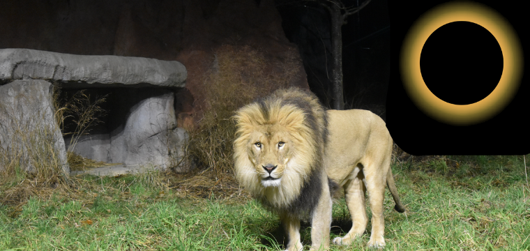 Akron Zoo | Ticketing